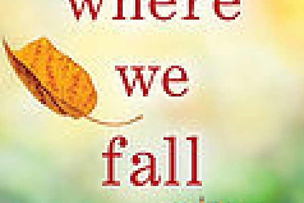 WHERE WE FALL *FREE* for Amazon Prime Members | USA Best-Selling Author ...
